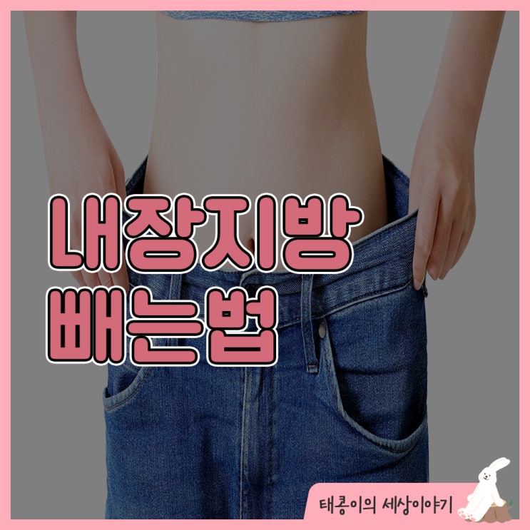 내장지방 빼는법 뱃살 피하지방 뿌시기 네이버 블로그