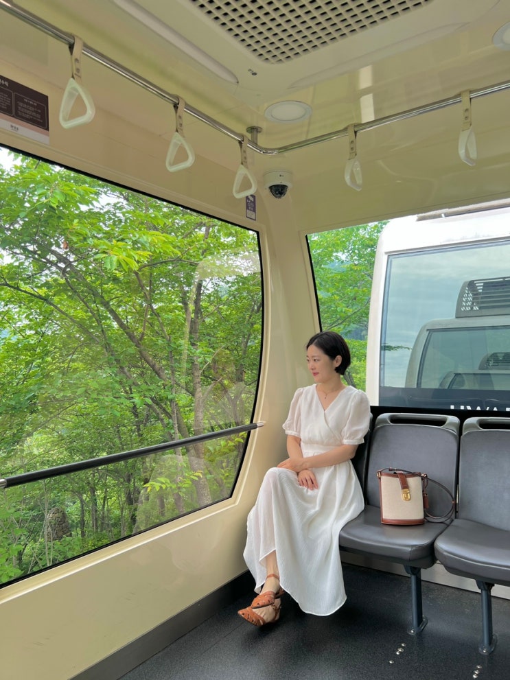 화담숲 예약 광주시민 입장료 모노레일 주차장 식당 정보 총정리 네이버 블로그