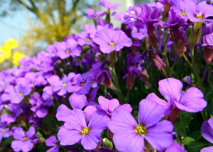 [해외임가공] 이 경우 해외임가공물품 감세가 가능한가요? : 네이버 블로그