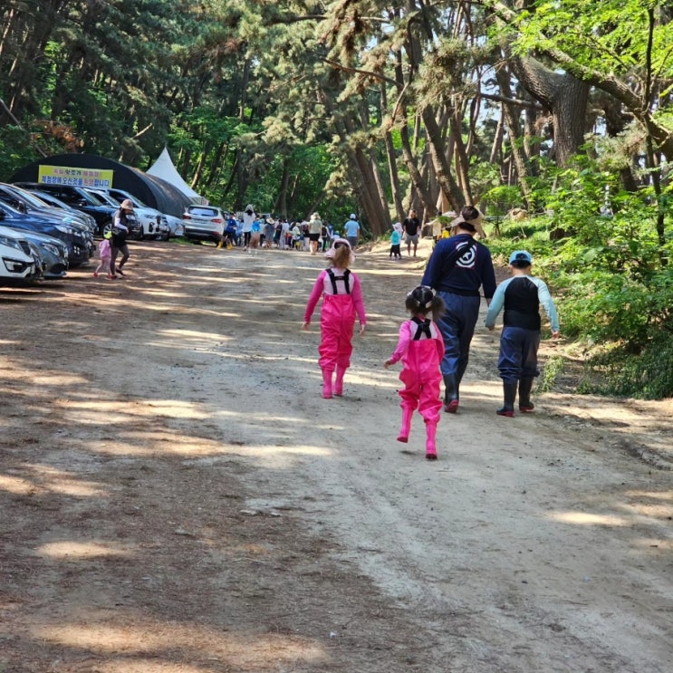 태안조개체험) 맛조개 핫스팟 [별주부마을] 😆 : 네이버 블로그