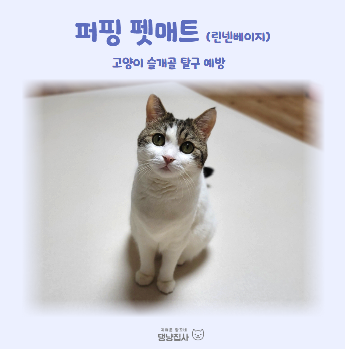 고양이 슬개골 탈구 예방을 위한 퍼핑 펫매트 언박싱 네이버 블로그