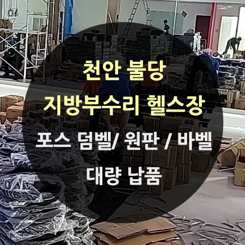 천안 불당 지방부수리 헬스장 포스 덤벨+덤벨렉 / 포스원판/포스바벨+렉포함 동화스포츠 납품 : 네이버 블로그
