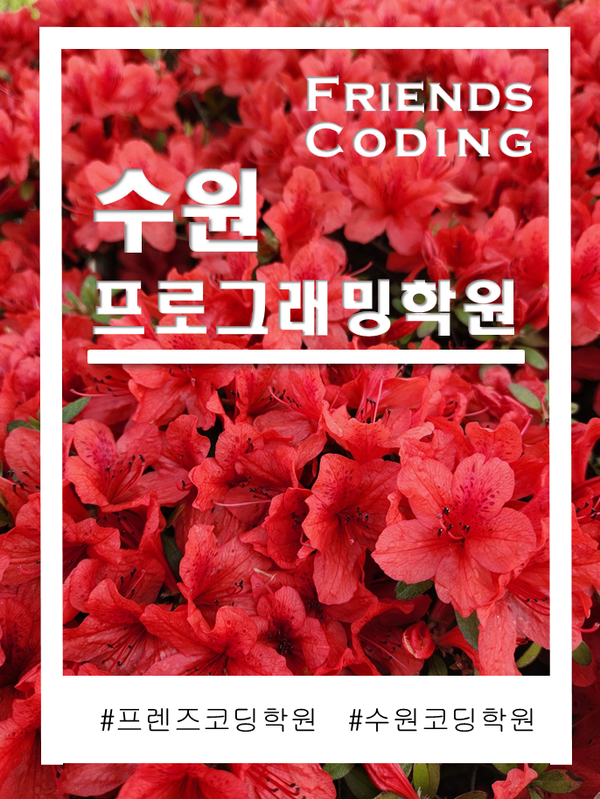 수원c언어학원 C언어를 배우세요 정자동 천천동 율전동 고등동 화서동 이목동 조원동 송죽동 영화동 구운동 고색동