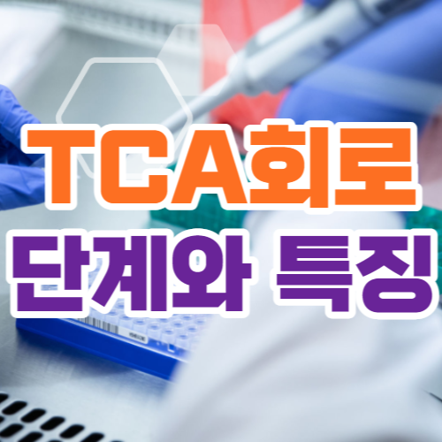 TCA 회로 단계와 특징 Tricarboxylic acid cycle : 네이버 블로그