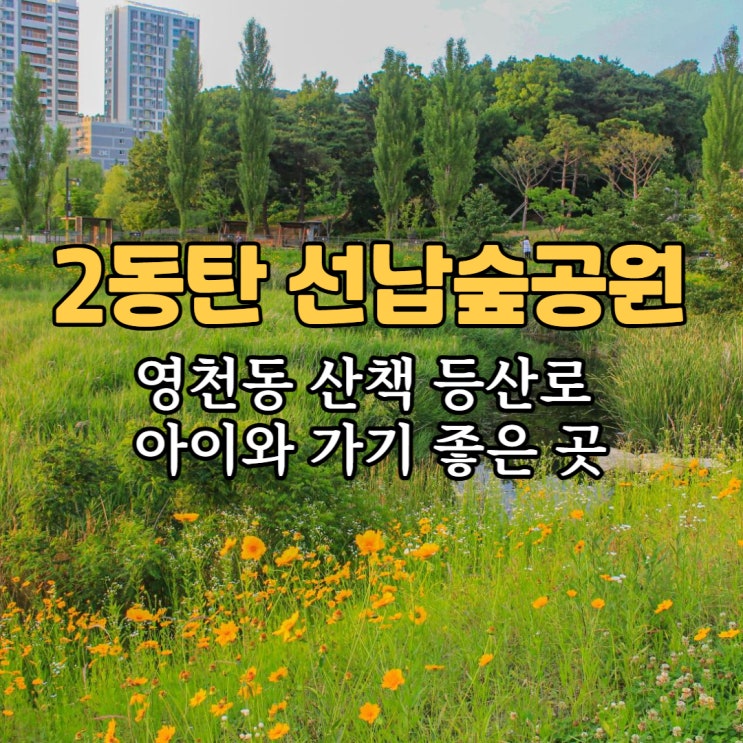 동탄 영천동 선납숲공원 데이트 코스 놀거리 주차장 화장실 정보까지 네이버 블로그