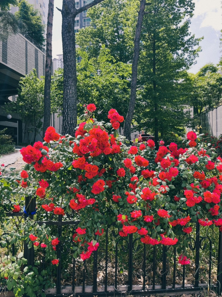 2023년 5월 일상 : 네이버 블로그