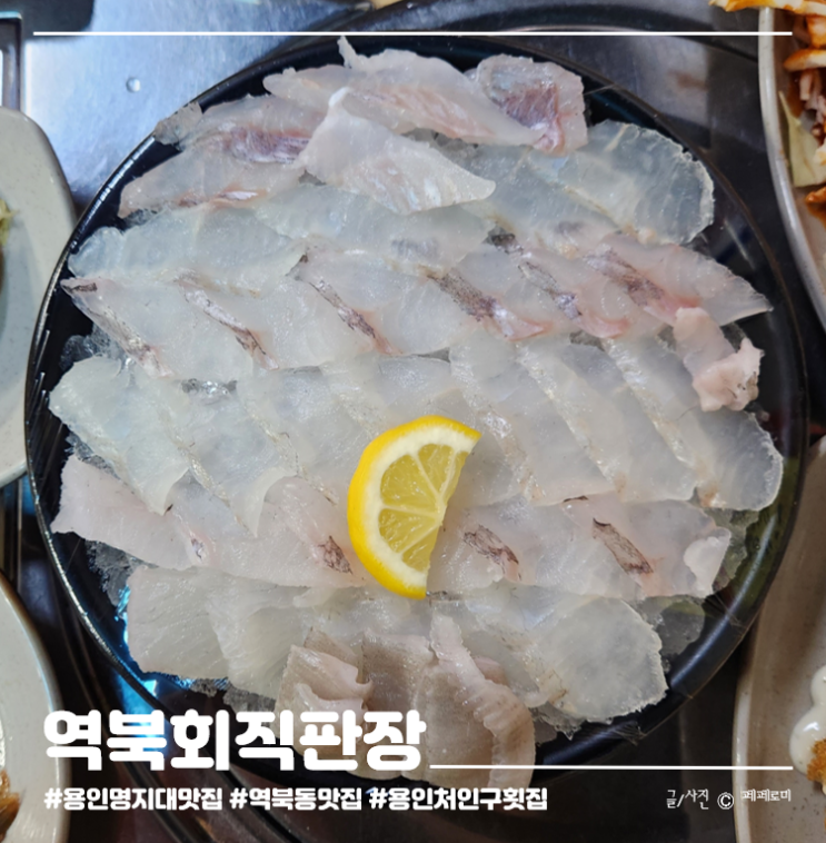 용인 역북동 맛집 가성비 좋은 횟집 역북동회직판장 네이버 블로그