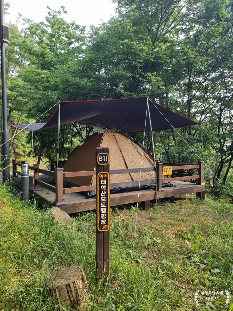 충남 천안 캠핑장 태학산 자연휴양림 오토캠핑장 캠핑장에서 즐기는 캠핑요리 캠핑 술안주 네이버 블로그