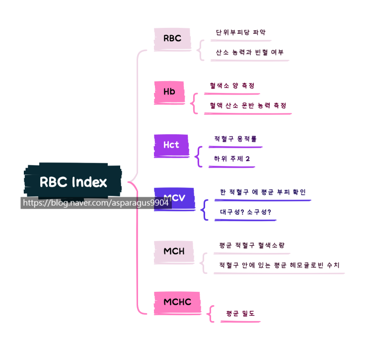 6종 혈액 검사 RBC index : 네이버 블로그