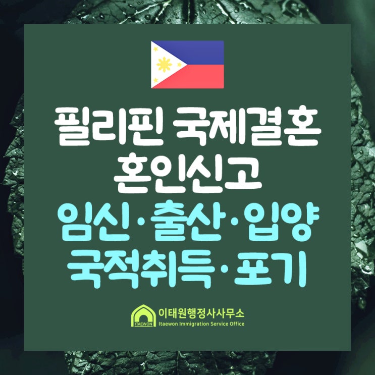 필리핀 국제결혼 배우자가 임신 및 출산 예정일 때 F6비자 신청은 네이버 블로그