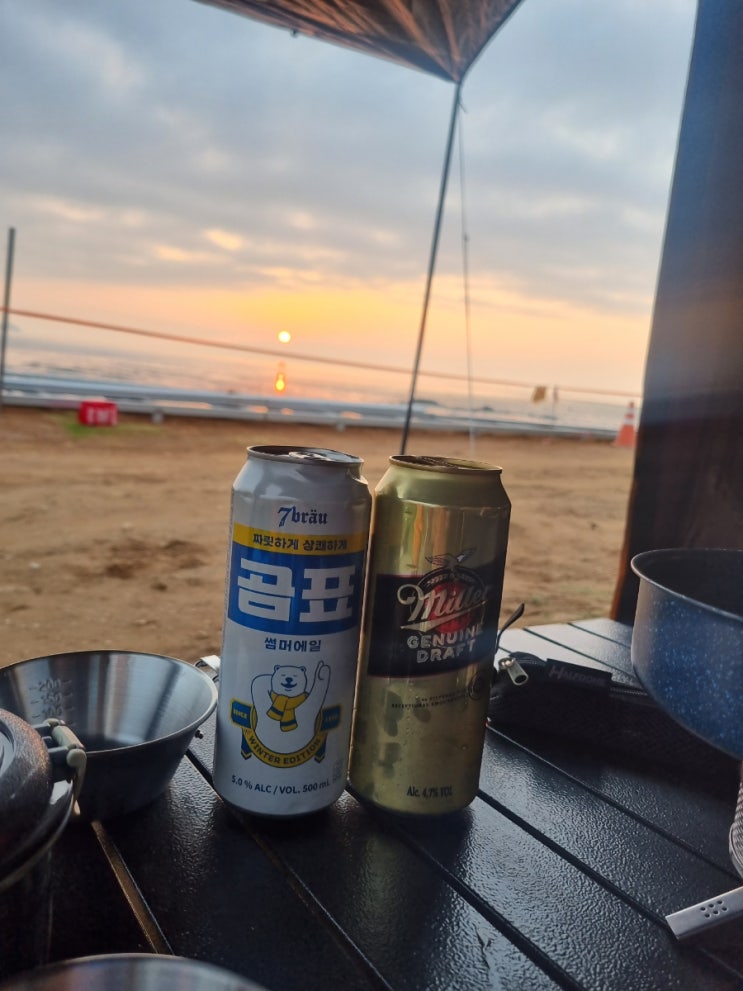 궁평항 노지차박궁평항아일랜드펜션궁평해송군락지야자수마을 식물원카페 네이버 블로그