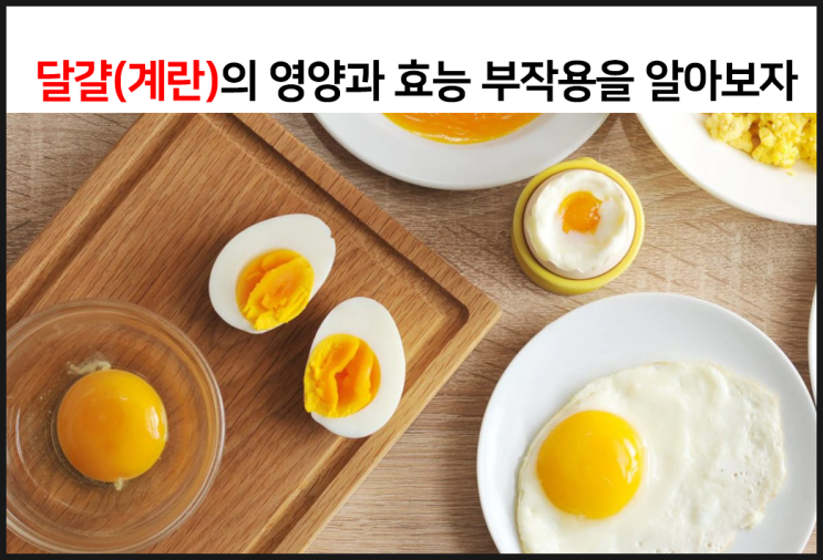 달걀 계란의 영양과 효능 부작용을 알아보자 네이버 블로그