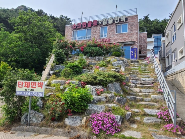 영덕독채펜션 놀거리 먹거리 다있는 블루로드타운펜션 일출민박 단체펜션은 여기 네이버 블로그
