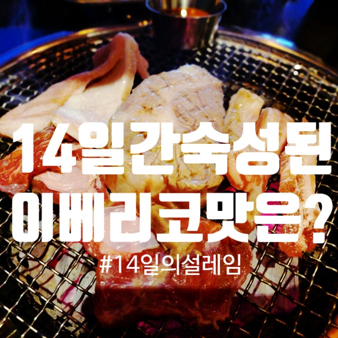 양천구 신월동 고기집 맛집 14일의 설레임 와인을 곁들이는 돼지고기 프리미엄 이베리코 후기 네이버 블로그