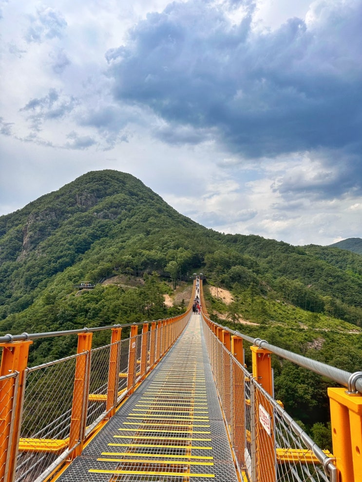대전 근교 금산 가볼만한 곳 월영산 출렁다리 (가는길, 주차장, 소요시간) : 네이버 블로그