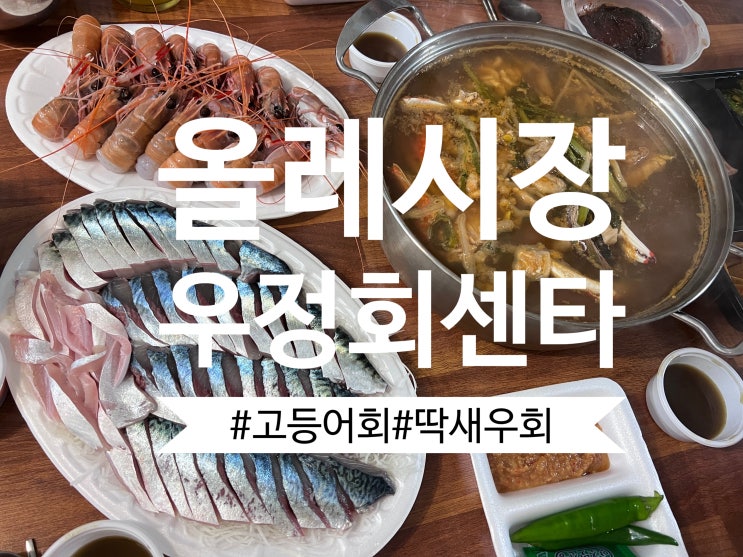 올레시장 우정 회 센타 가성비 좋은 고등어회와 딱새우회 먹을 수 있는 곳 네이버 블로그