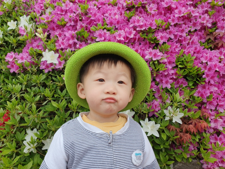 주위에서 미친놈 소리를 들으며 캘거리 중의학 1학년 3학기 중간고사가 끝나다.. : 네이버 블로그