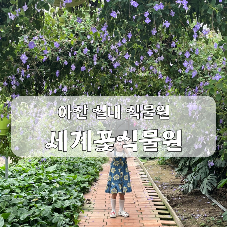 아이랑 실내 가볼만한곳 아산 세계꽃식물원입장료로 식물구매가능 네이버 블로그