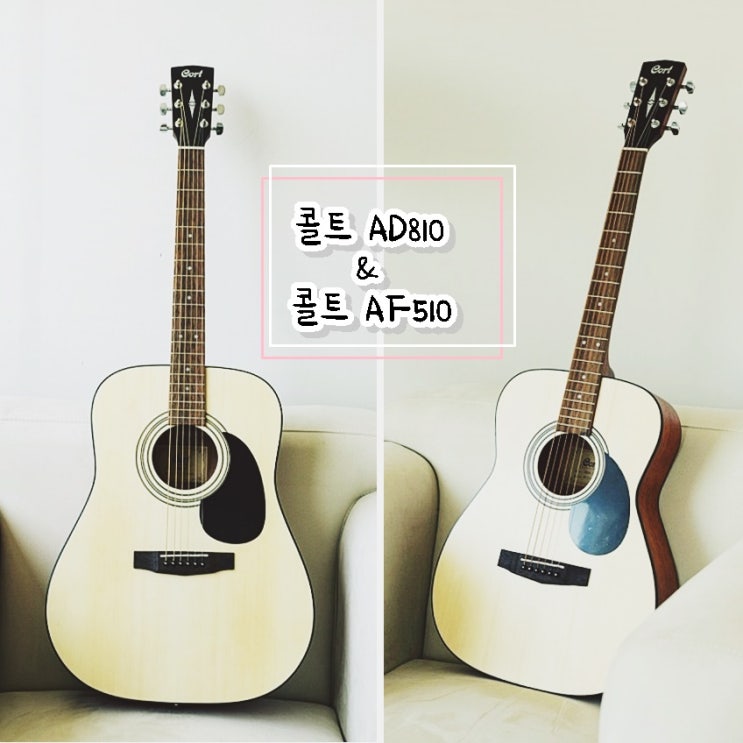 입문용 기타 콜트 AF510 , AD810 중 나에게맞는 바디 고르기 (ft. 입문용 통기타 독학 방법) : 네이버 블로그