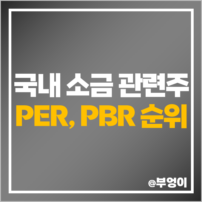 소금 관련주 테마주 수혜주 종류 정리 국내 주식 주가 Per Pbr 순위 네이버 블로그
