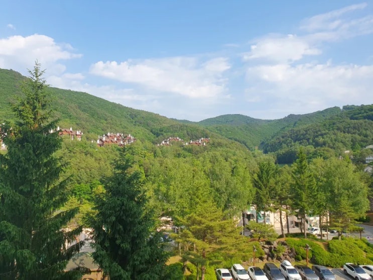용평리조트 용평리조트 썸머 올킬 한정패키지 용평리조트 타워콘도 룸컨디션 하반조식메뉴 네이버 블로그