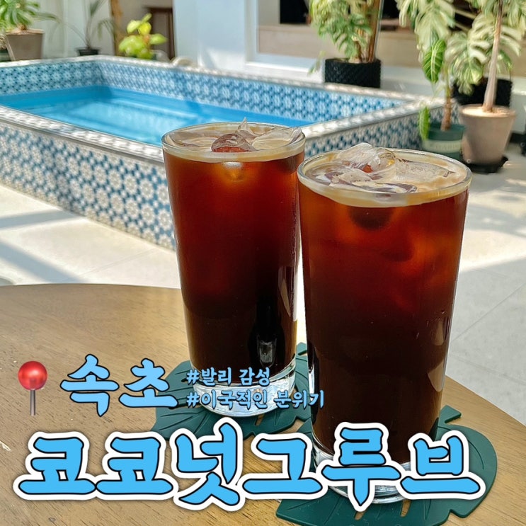 속초 코코넛그루브 햇살 가득한 이국적인 카페동에버억서에버억 네이버 블로그