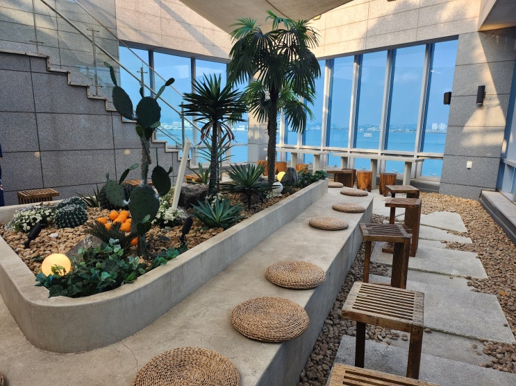 영종도 오션뷰 루프탑 베이커리 카페바다앞테라스 네이버 블로그
