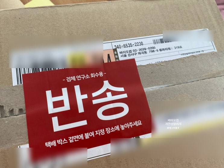 지연성 알러지 검사 후기 및 비용 바이오컴 음식물 과민증 검사 칸디다균 5단계 네이버 블로그