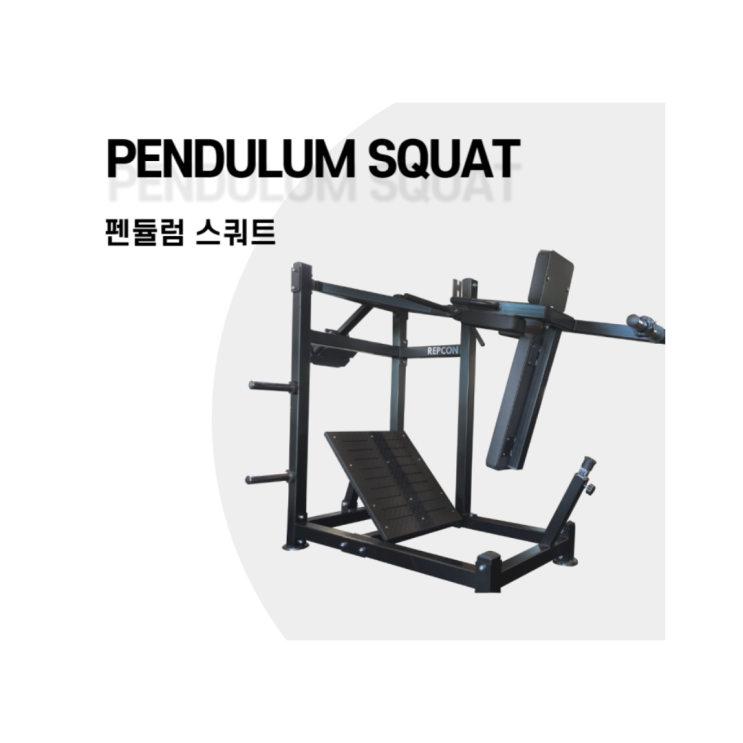헬스보이짐x필라걸 관저점 세계적인 트레이너들이 추천하는 최고의 스쿼트 기법 네이버 블로그