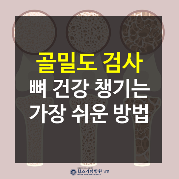 안양윌스기념병원 골밀도 검사 뼈 건강 챙기는 가장 쉬운 방법│안양척추전문병원 네이버 블로그