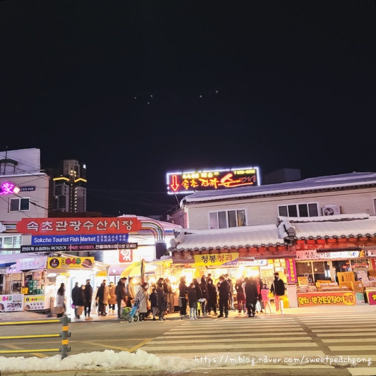 1월 속초여행 속초중앙시장 투어 속초관광수산시장 3849꼬마김밥 속초점 네이버 블로그