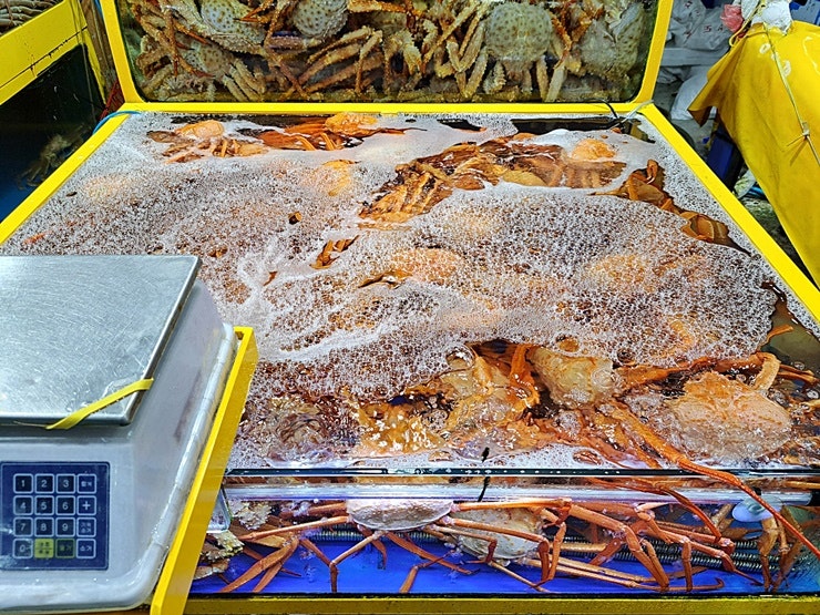 6월 15일 안양 평촌 농수산물도매시장 하남 꽃게 대게 홍게 가격 시세 네이버 블로그