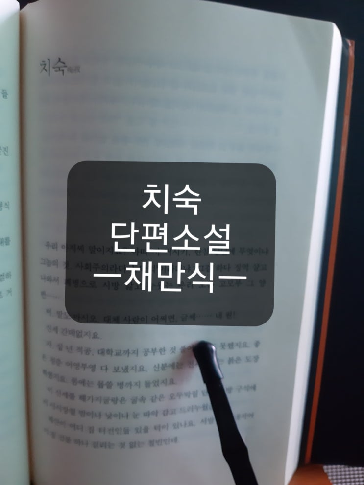 치숙소설채만식줄거리요약핵심정리기출문제소설 분석 네이버 블로그