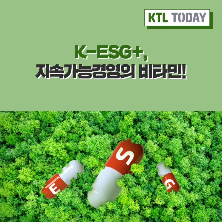 [김세종 원장 특별기고] K-ESG+, 지속가능경영의 비타민! : 네이버 블로그