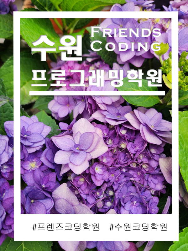 수원코딩학원 프렌즈코딩학원 여름방학시즌 수업시간 안내 C언어 C C 자바 자바스크립트 파이썬