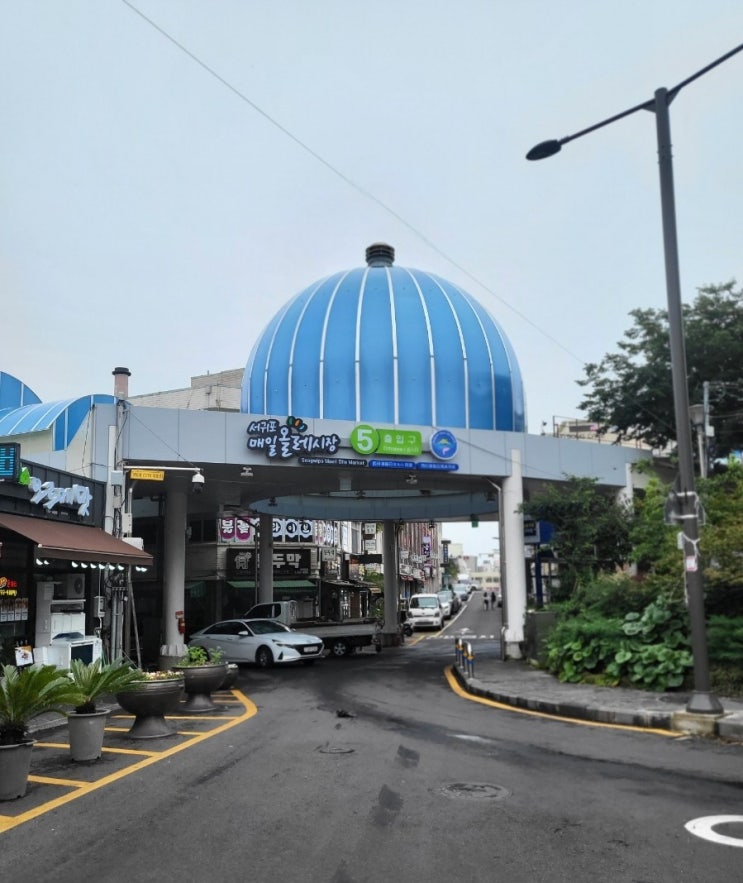 제주 서귀포매일올레시장 먹거리 마농치킨 오메기떡 회포장 네이버 블로그