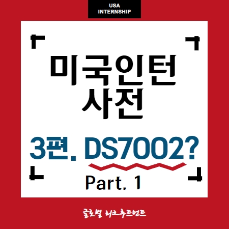 [공지] 미국 인턴 사전 - 3편. DS-7002란? Part 1. DS7002 무엇인가? : 네이버 블로그