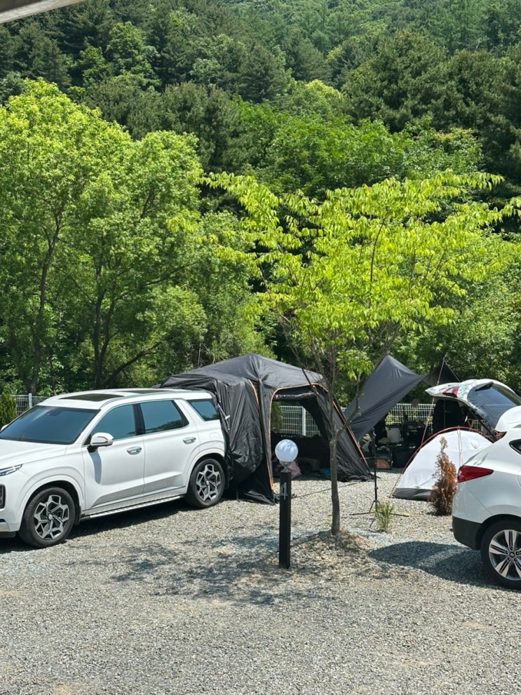 7번째 차박 양평계곡캠핑장 양평차박 신생캠핑장‘명달야영장 3박4일 자세한후기 계곡근처 사이트팁 네이버 블로그