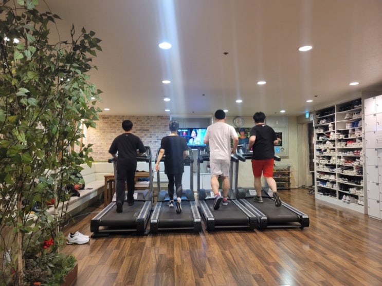 서초동복싱 힘든경기에 합리적인 회비 올 여름엔 정말 다이어트 해야죠 아침7시오픈지도 헬스장 전용주차장완비 네이버 블로그