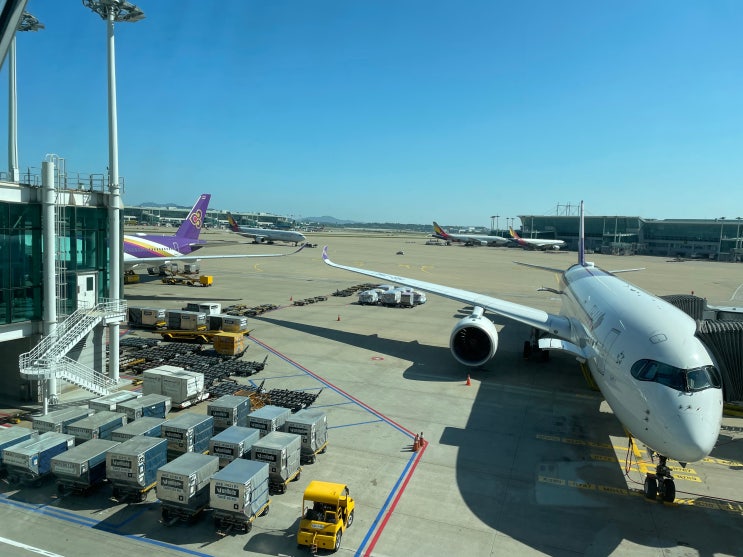 [144번째 탑승기, TG659편] 타이항공, 비즈니스! 로얄실크 클래스 상세 후기! : 네이버 블로그