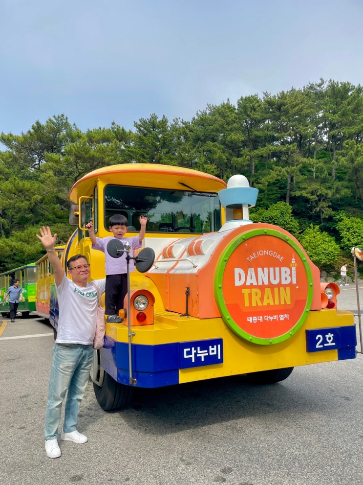 부산 아이랑 가볼만한곳 태종대 다누비열차 예매 요금 태종사 수국 현황 영도 국립해양박물관 코스 네이버 블로그