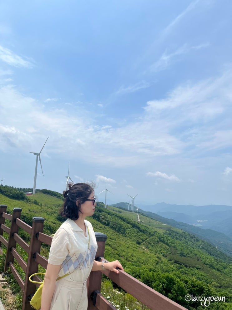 강원도평창여행 평창1박2일 가족여행 1 1육백마지기데이지없음주의 네이버 블로그