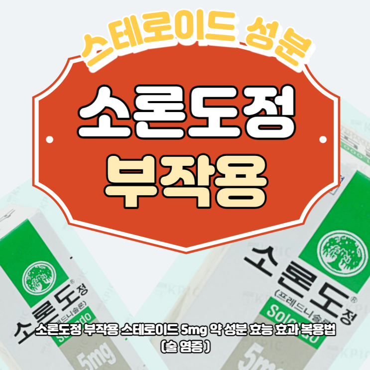 소론도정 부작용 스테로이드 5mg 약 성분 효능 효과 복용법술 염증 네이버 블로그