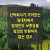 신탁회사가 끼어있는 임대차에서 임대인이 보증금을 임의로 반환하지 않는 경우신탁수익권 소유권이전등기청구권 정산금반환청구권