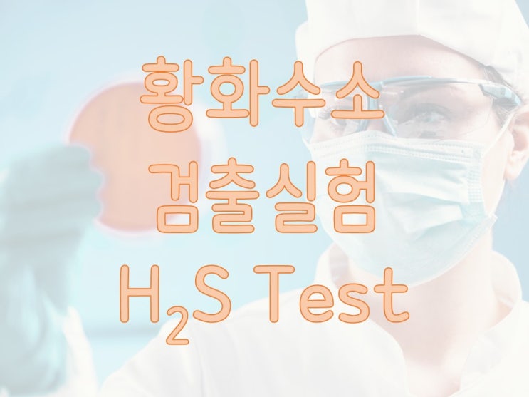 [미생물 동정시험] 황화수소 생성 미생물 검출시험/ H2S Test : 네이버 블로그