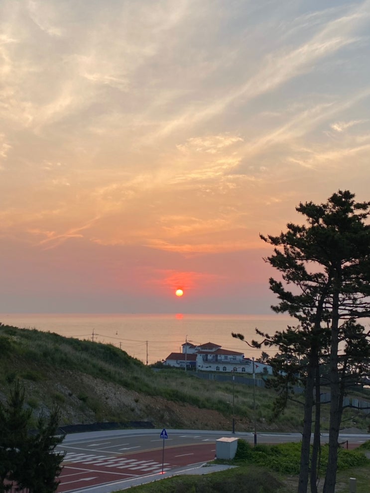 베스트웨스턴플러스 경주 호텔 스탠다드 더블 오션뷰 후기 네이버 블로그