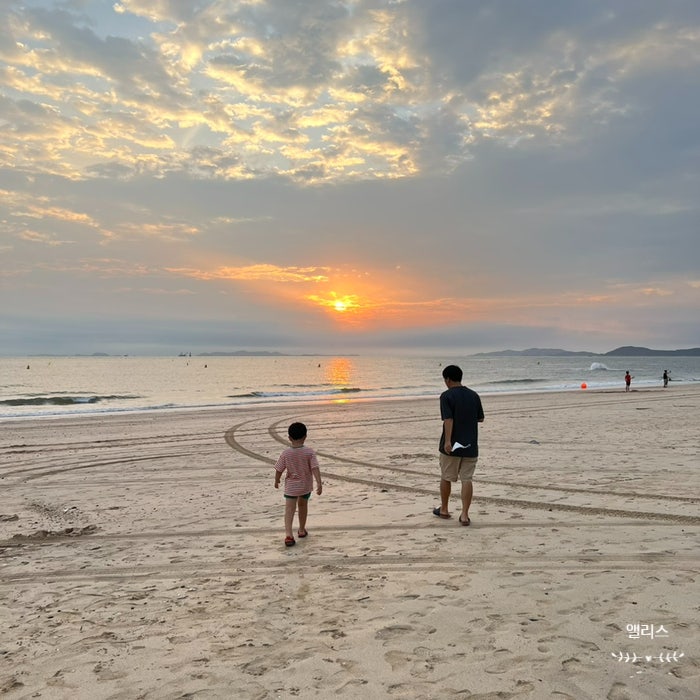 서울 근교 1박 2일 충남 보령여행 대천해수욕장 놀거리 주차 텐트 네이버 블로그