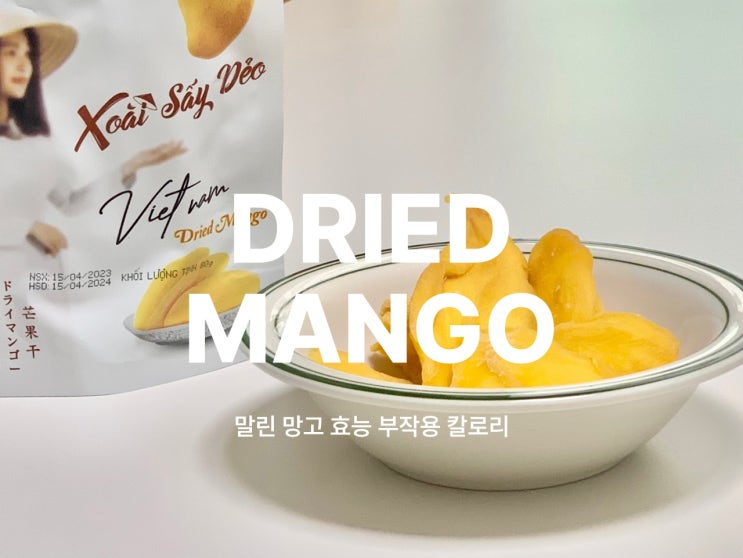 말린 망고 효능 부작용 칼로리 영양성분 동남아 여행 선물 네이버 블로그