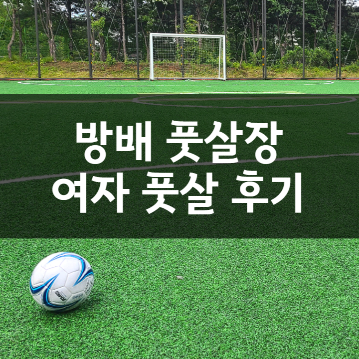 방배 풋살장 서울 서초구 방배동 방배배수지 체육공원 여자 풋살 후기 네이버 블로그