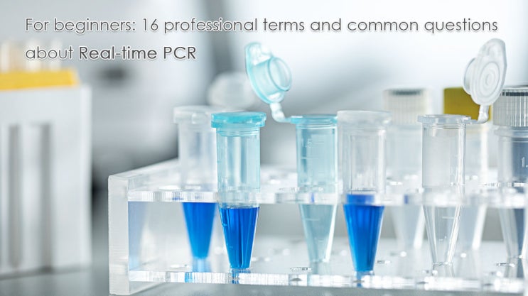 Real-time PCR 초보자를 위한 기초 용어들 / CT값, Melting curve, baseline 등 : 네이버 블로그